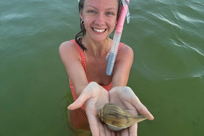 Private Swim with Dolphins And Snorkeling Tour - Why This Tour Offers Good Value