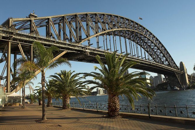 Private Sydney City and Bondi Beach Half Day Tour - Transportation and Comfort