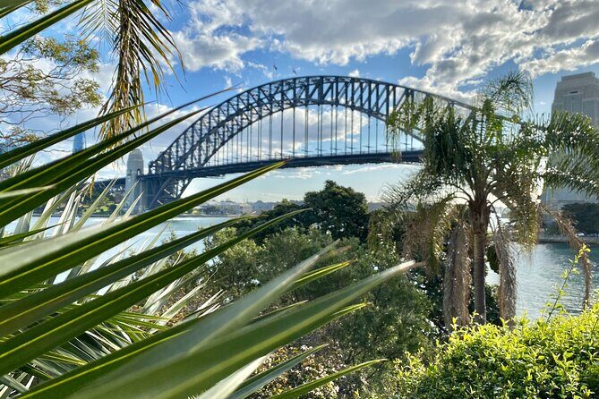 PRIVATE Sydney City and Oceanfront Luxury Tour (4 hours) - Is This Tour Worth It?