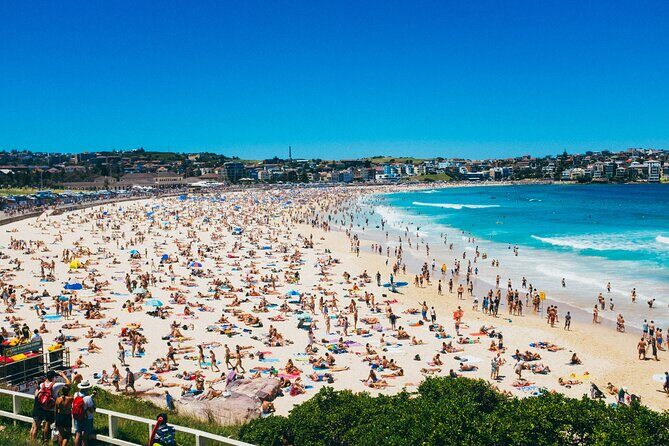 PRIVATE Sydney City Bondi Beach Opera House & Botanic Garden Tour - Exploring Sydney in Style and Comfort