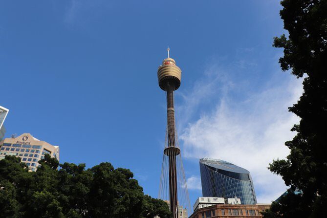 Private Sydney City Customized Tour - What to Expect from Your Private Tour Experience