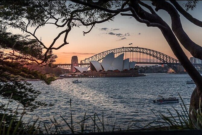 Private Sydney City Hidden Gem Half Day Tour - The Sum Up: Who Should Book This Tour?