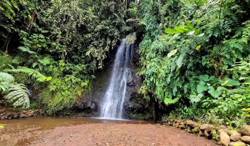 Private Tahiti Island Tour 5.5 Hours - Pricing and Value