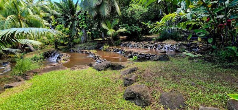 Private Tahiti Island Tour 5.5 Hours - The Sum Up