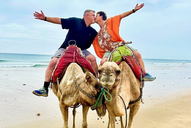 Private Tangier Full day Tour - What Makes This Tour Stand Out?