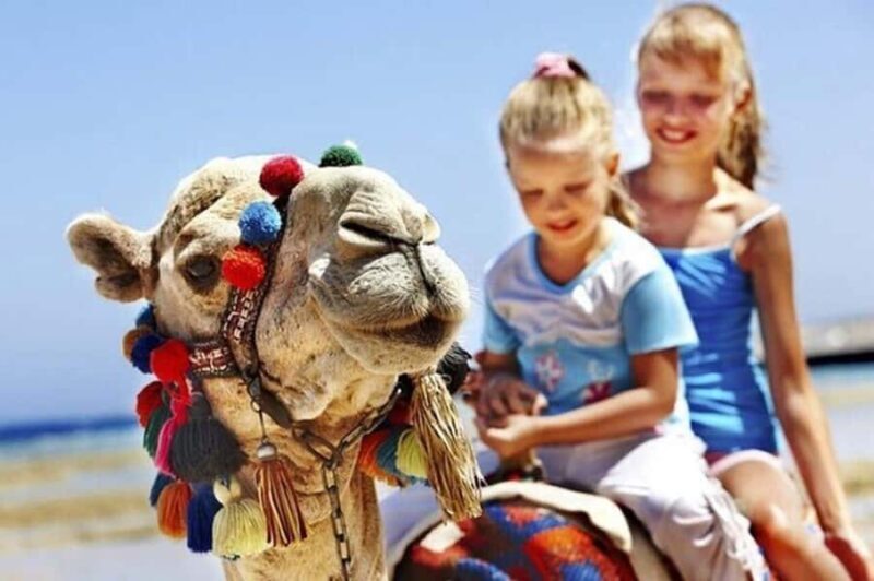 Private Tangier Tour with Lunch and Camel Ride - Discovering Tangier: An In-Depth Review of the Private Tour