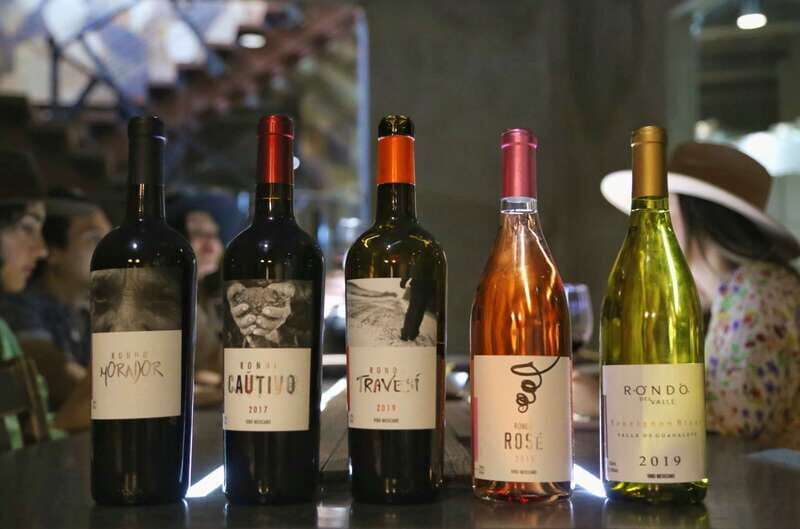 Private Tasting in Valle de Guadalupe Winery - FAQ