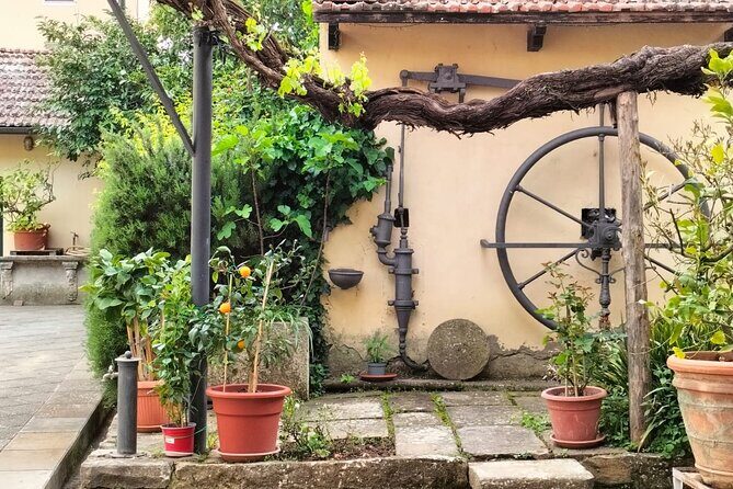 Private tasting of organic wines in the cellar in Arezzo - A Truly Authentic Wine Tasting in Arezzo: An In-Depth Review