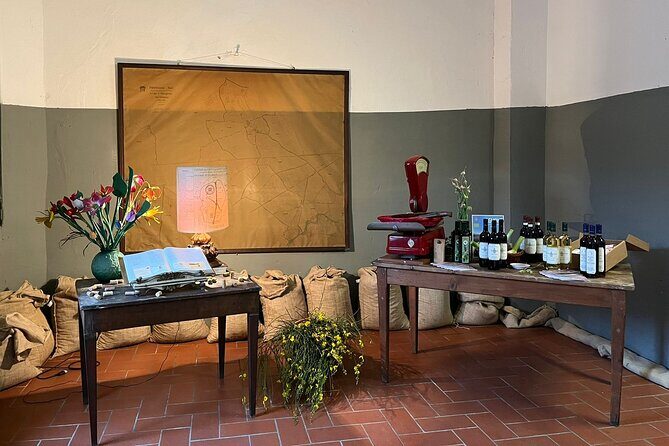 Private tasting of organic wines in the cellar in Arezzo - Key Points