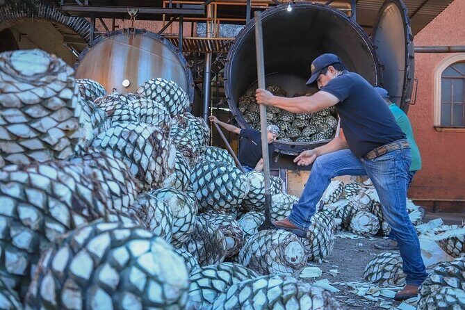Private Tasting Tour Hacienda de Oro, Amatitan Jalisco - Who Would Enjoy This Tour?