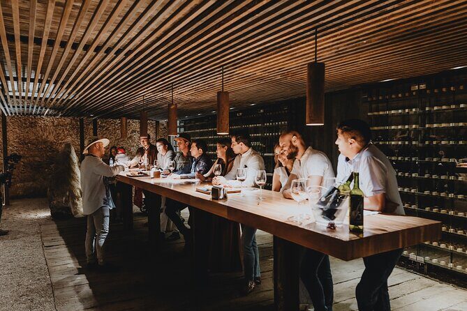 Private Tasting with Pairing in a Cava in Aguascalientes - Key Points