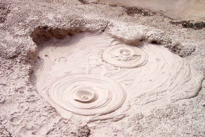 Private Tauranga Day Trip - Rotorua "Whaka Living Mori Village" - Key Points