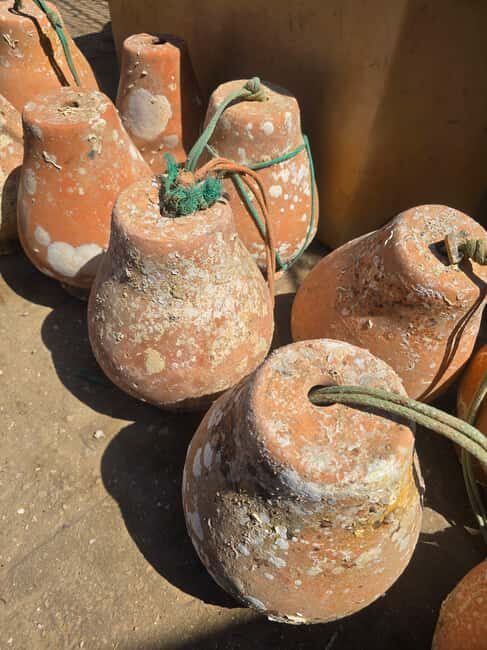 Private Tavira Jeep Tour - Salt Pans, Nature & Santa Luzia - Who Will Love This Tour?