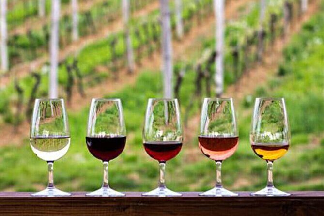 Private Taxi Tour in the Douro with a Visit to 2 Family Vineyards - Exploring the Douro with a Private Taxi Tour and Family Vineyards