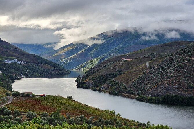 Private Taxi Tour in the Douro with a Visit to 2 Family Vineyards - In-Depth Look at the Douro Private Taxi Tour