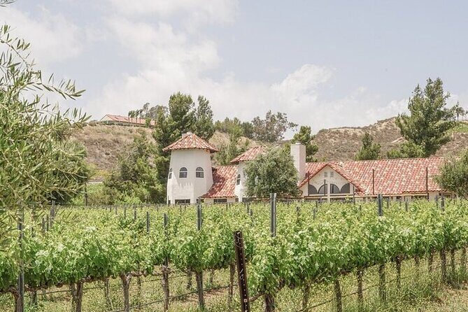 Private Temecula Wine Tour from Irvine - An In-Depth Look at the Tour Itinerary