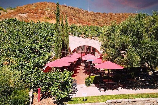 Private Temecula Wine Tour in The Wine Valley - Who Is This Tour Best For?