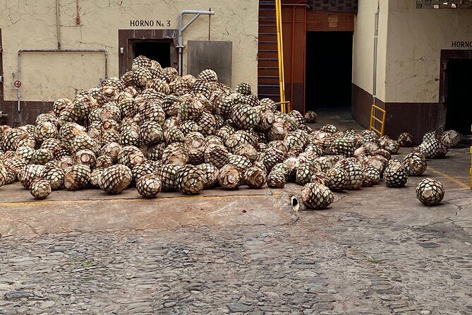 Private Tequila Tour - Key Points