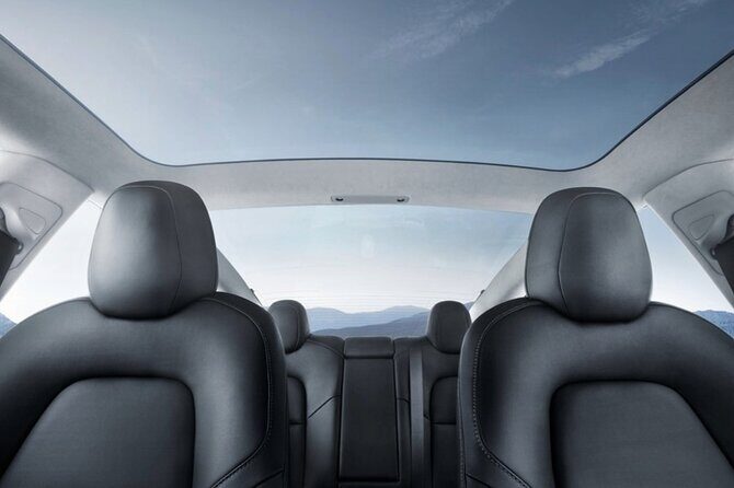 Private Tesla Transfer: Auckland, Tauranga, Rotorua, Taupo - Key Points