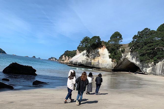 Private The Coromandel Tour - Auckland Tour House - Final Thoughts: Is This Tour Right for You?