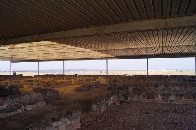 Private Time Traveller Full Day Tour from Evora by Archaeologists - Almendres Cromlech: Portugal’s Stonehenge