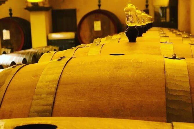 Private Top Brunello Montalcino Wine Tour & Food Pairing Session - An In-Depth Look at the Tour Experience