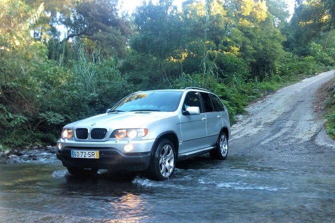 Private Tour 1-4 people Full Day Sete Cidades & Lagoa do Fogo - The Experience of Guides: Knowledge and Personal Touch