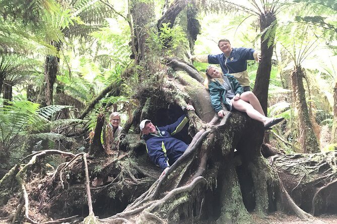 [PRIVATE TOUR] 12 Apostles | Great Ocean Road | Day Trip - The Sum Up