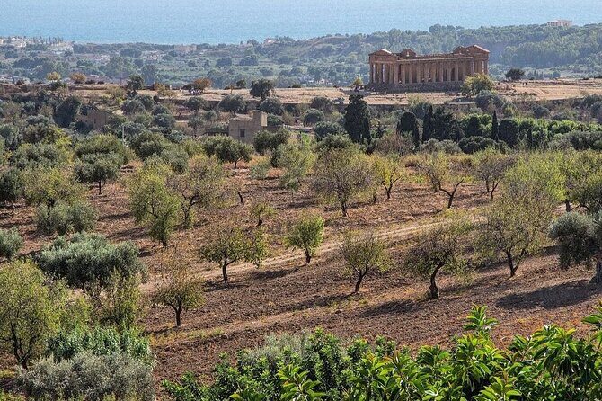 Private Tour Agrigento Valley of the Temples Park and Scala Dei Turchi - FAQ