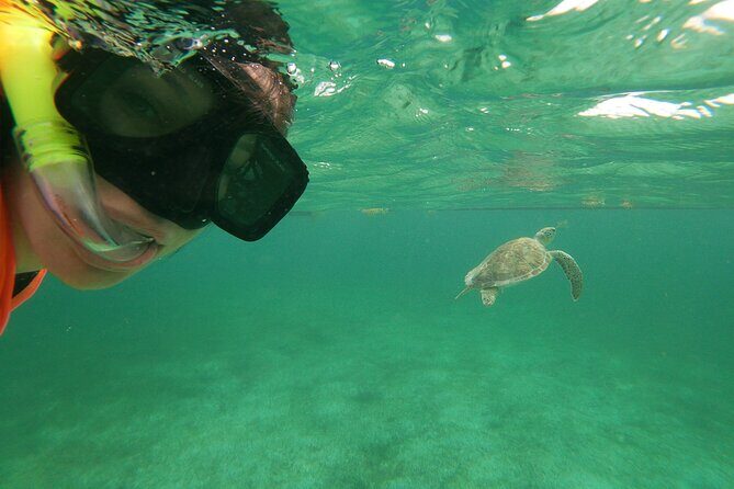 Private Tour: Akumal Marine Turtle Snorkeling and Cenote Adventure - Why Choose This Tour?