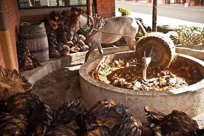 Private Tour, all inclusive: Tlacochahuaya, Mezcal, Teotitlán del Valle - FAQ