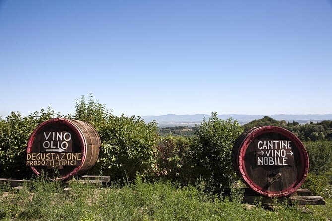 Private Tour and Wine Tasting at Castle-Wineries in Chianti from Florence - Who Is This Tour Best For?
