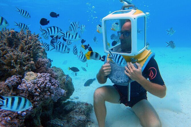 Private Tour: Aqua Safari Scuba Diving - The Pickup and Transportation Experience