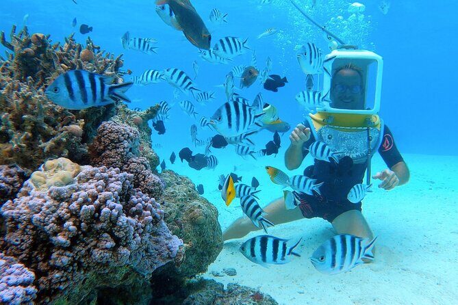 Private Tour: Aqua Safari Scuba Diving - Additional Aspects of the Tour