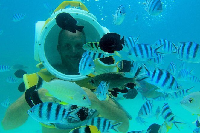 Private Tour: Aqua Safari Scuba Diving - Pricing and Value