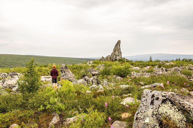 Private Tour Arctic Circle Expedition from Fairbanks - Final Thoughts: Is This Tour Right for You?