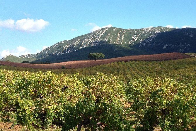 Private Tour: Arrábida Day Trip from Lisbon Including Wine Tasting - Who Would Love This Tour?