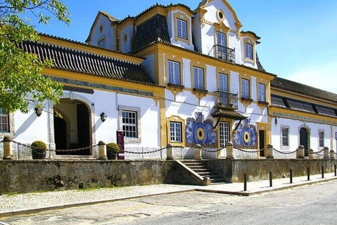 Private tour Arrábida, Sesimbra from Lisbon - Practical Details for Travelers