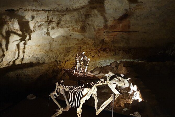 Private Tour at Naracoorte Caves - Exploring the Naracoorte Caves: A Closer Look at the Cave Experience  