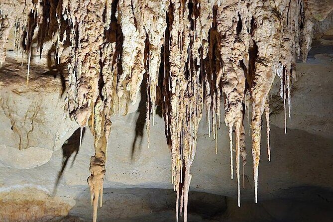 Private Tour at Naracoorte Caves - Why This Tour Is a Great Fit  