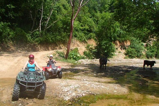 Private Tour: ATV SIERRA MADRE rivers with Tequila Tasting - Final Thoughts