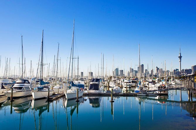 Private Tour: Auckland City and Countryside Tour - Authentic Customer Experiences