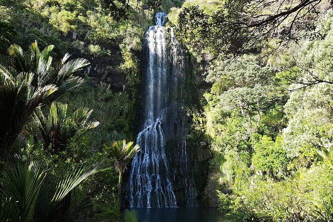 Private Tour: Auckland City and Countryside Tour - FAQs