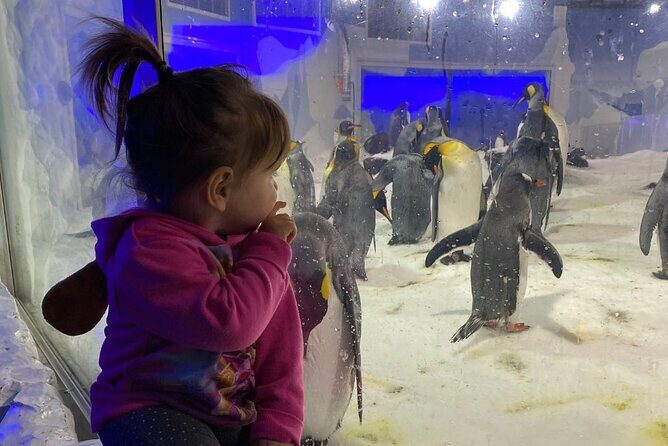 Private Tour: Auckland City, Aquarium, Sky Tower, Mt Eden & Wt - Final Thoughts