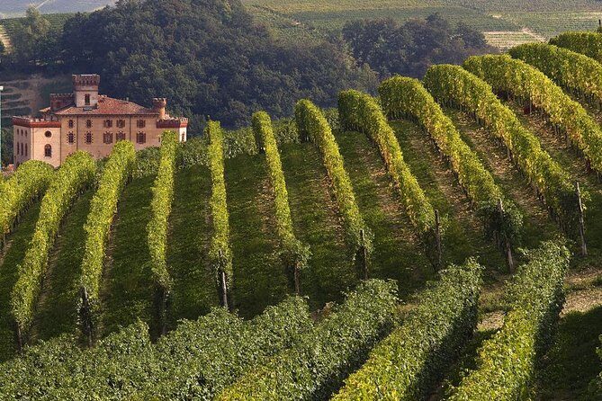 Private Tour: Barolo Wine Tasting in Langhe area from Torino - Overview and What to Expect