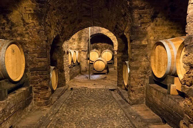 Private Tour: Barolo Wine Tasting in Langhe area from Torino - Final Thoughts