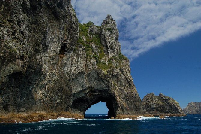 Private Tour: Bay of Islands Day Trip from Auckland - What to Expect from the Tour