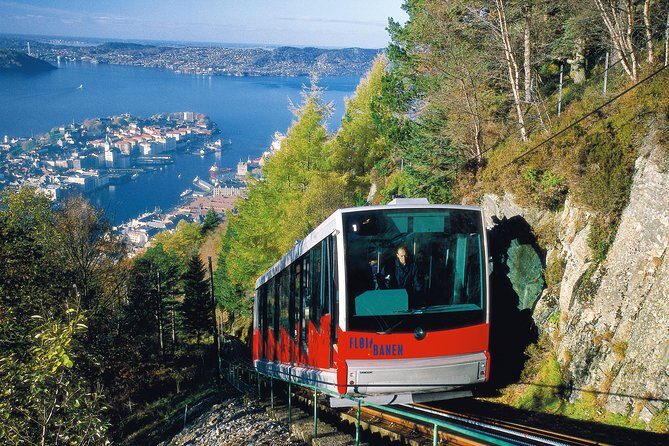 PRIVATE TOUR: Bergen city sightseeing, 5 hours - Final Word