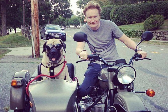 Private Tour: Best of Lisbon by Sidecar - Who Will Love This Tour?