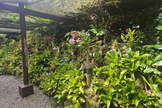 Private Tour: Best of Nadi Highlights - FAQ